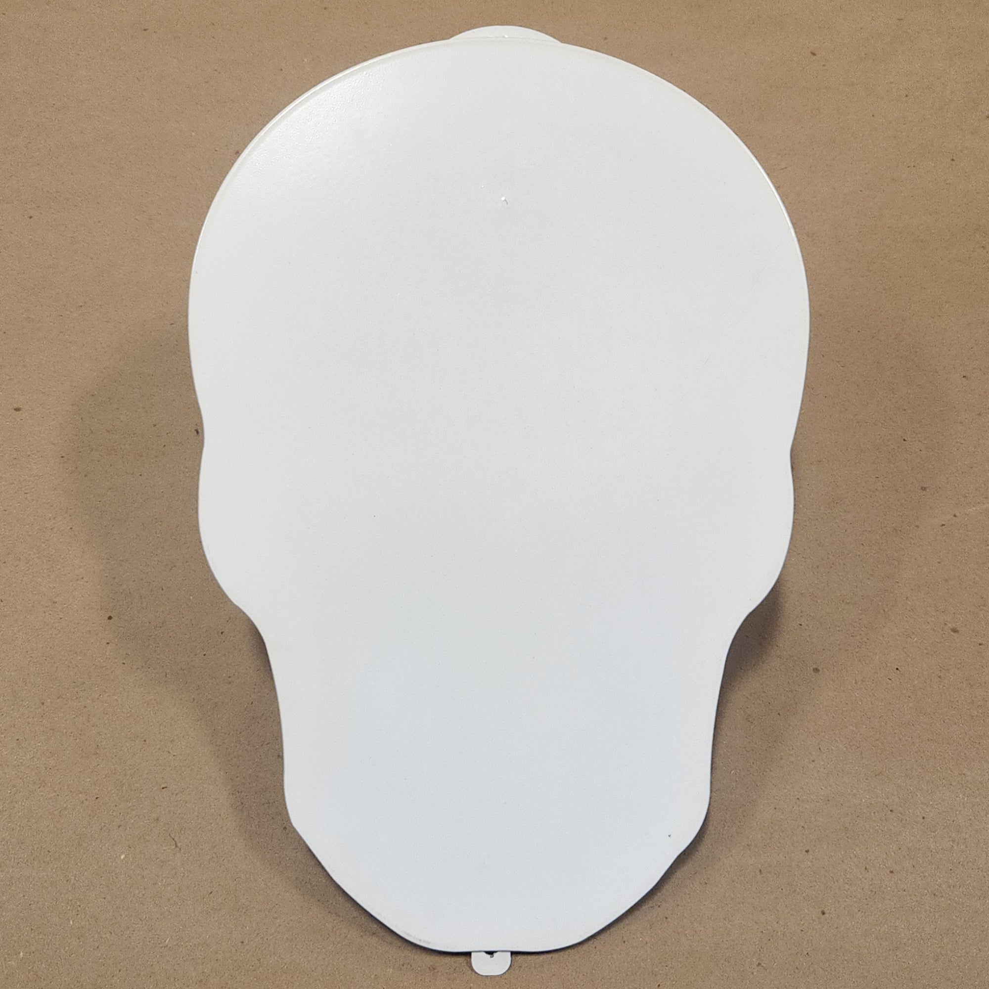 Blank Skull Template Skull PowerPoint Presentation And Slides PPT