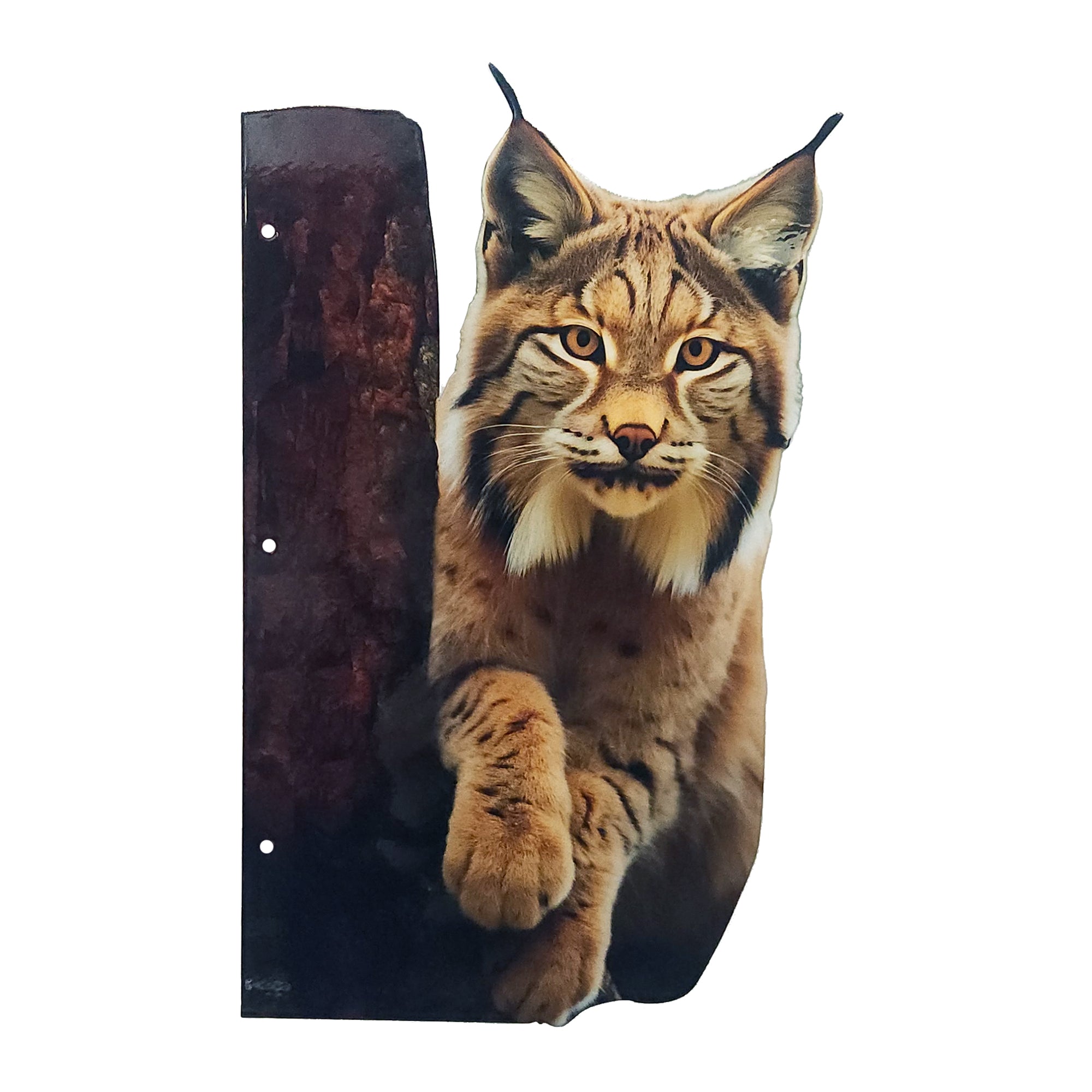 Bobcat Steel Metal Sign for outdoor | Peeking Bobcat – Metal Art Maker