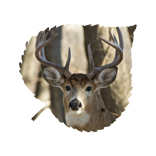 Buck Head Aspen Leaf Metal Wall Art | Metal Home & Outdoor Décor ...